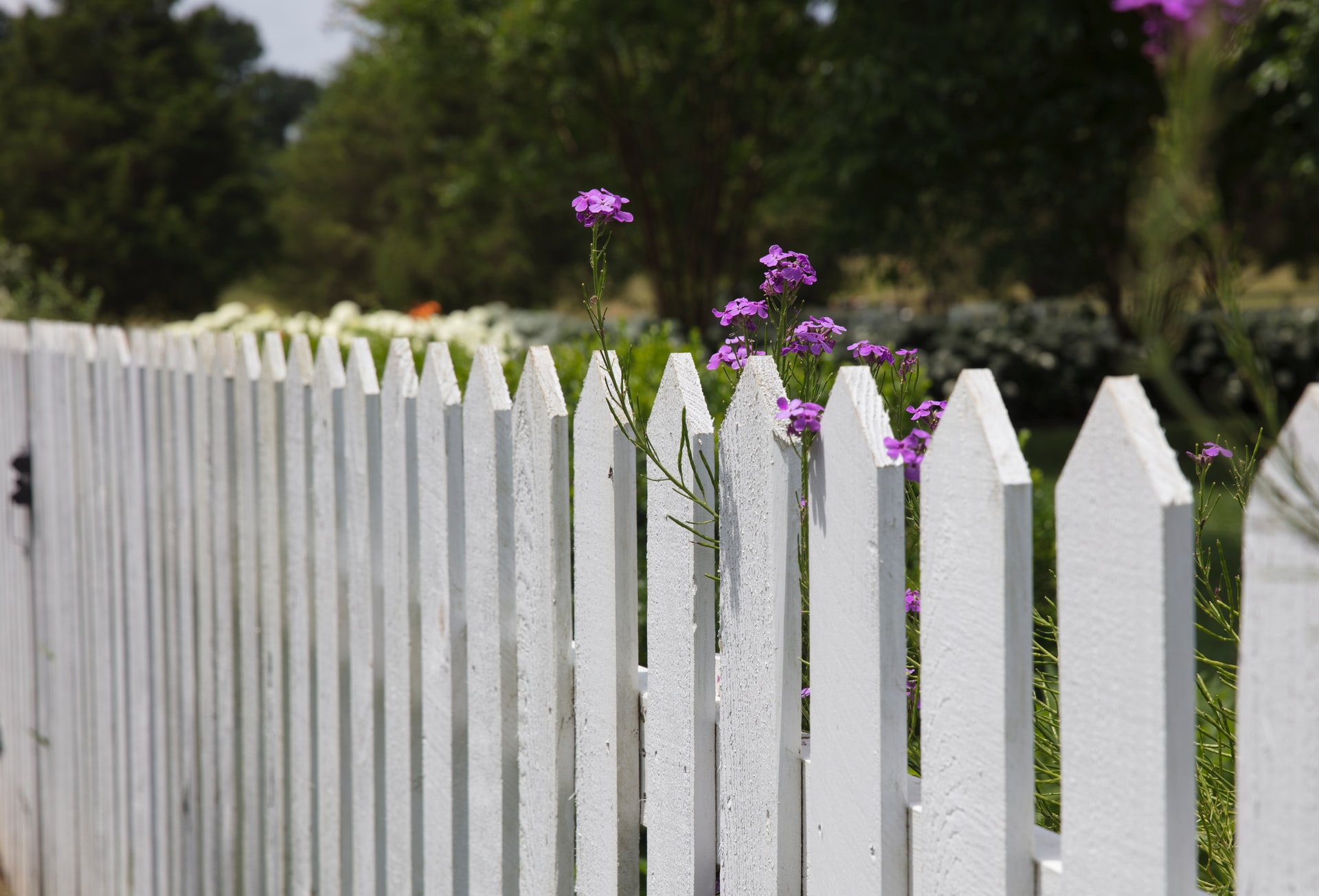 How Can We Resolve Boundary Line Disputes? - Moen Sheehan Meyer